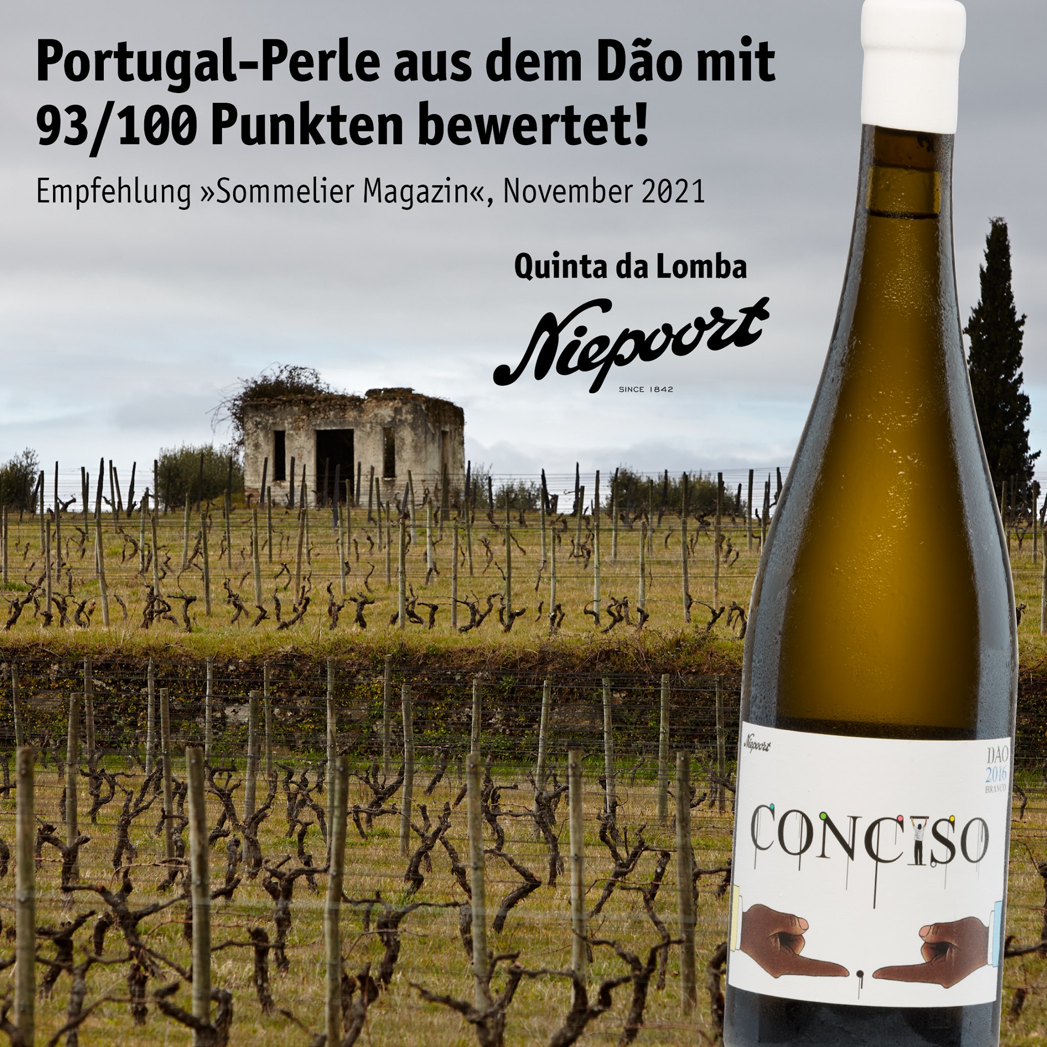 CONCISO BRANCO - "Portugal-Perlen" Sommelier Magazin